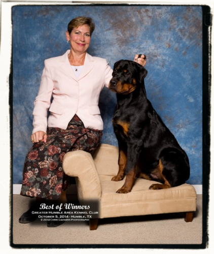 A Premier German Rottweiler Breeder - Lonecreek Rottweilers